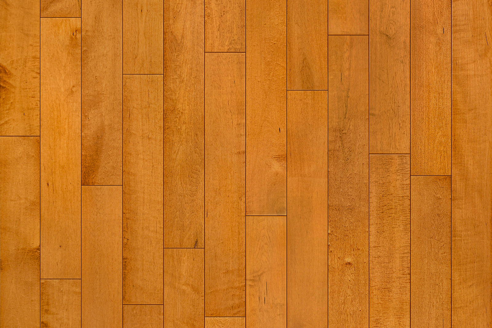 Maple Wheat - Smooth - Garrison Collection Products