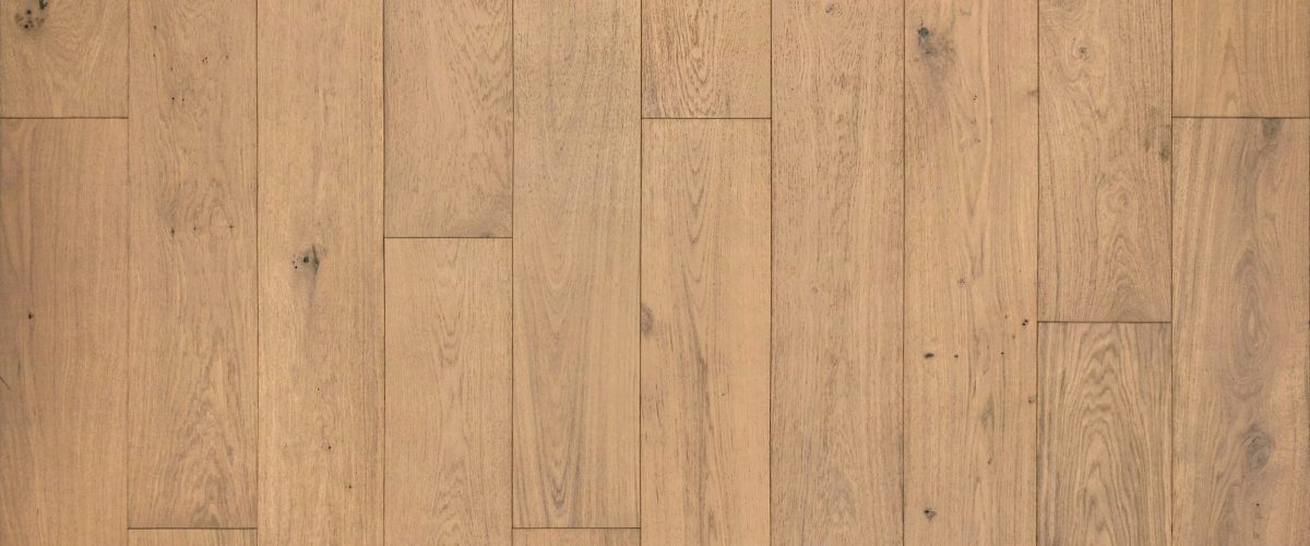 Shell Beach - Newport - Garrison Collection Projects