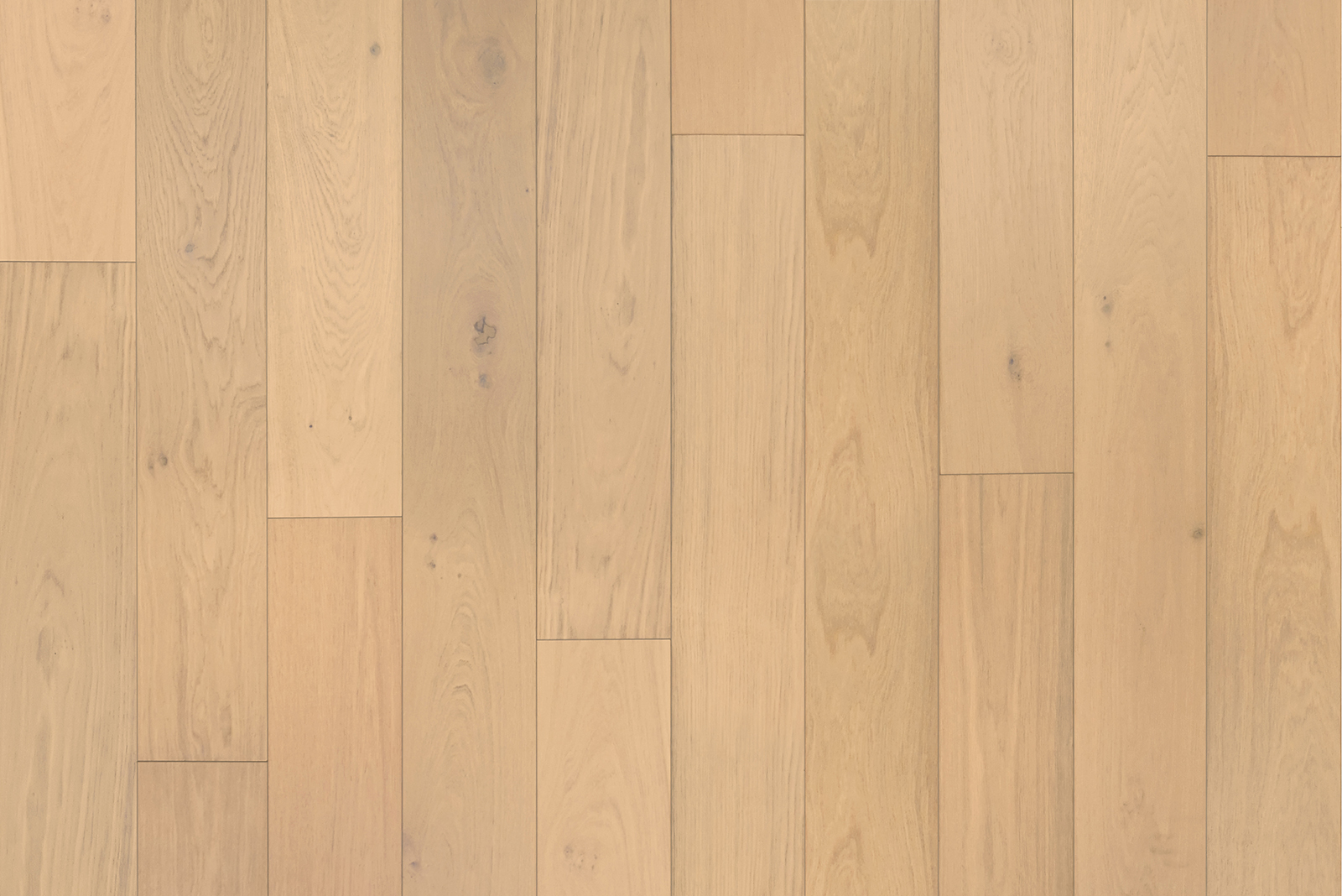 Shell Beach - Newport - Garrison Collection Projects