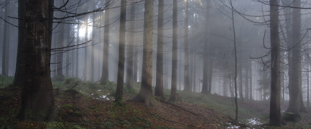 Maple Chestnut - Distressed - Garrison Collection Products