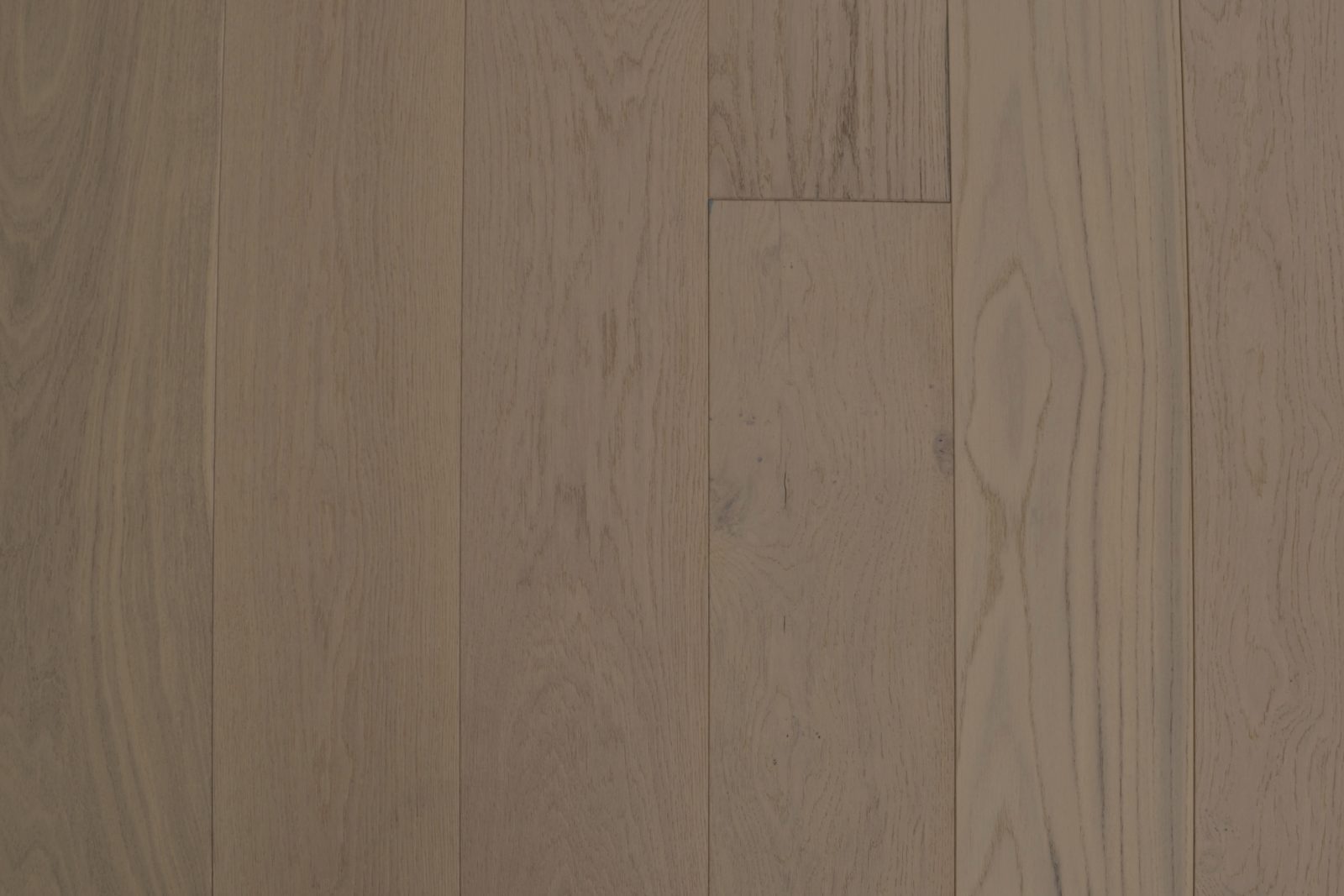 European Oak Shell Beach Hardwood Floor - Garrison Collection