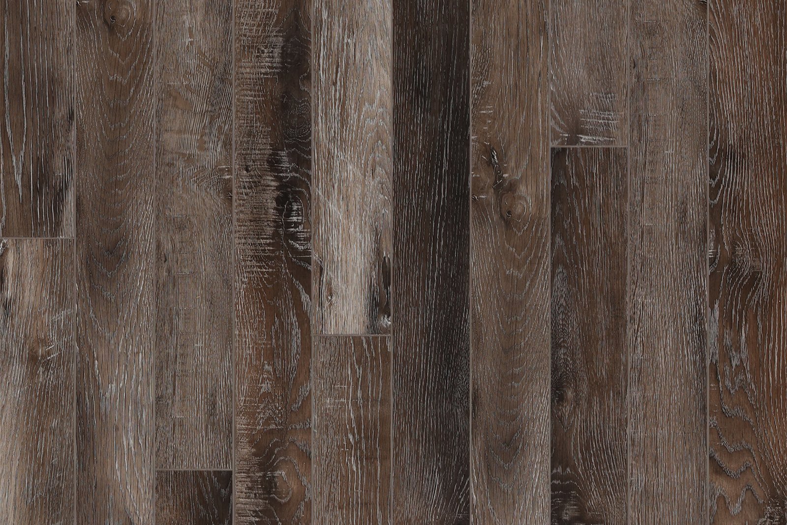 SPC Daisy - Garrison Collection Products