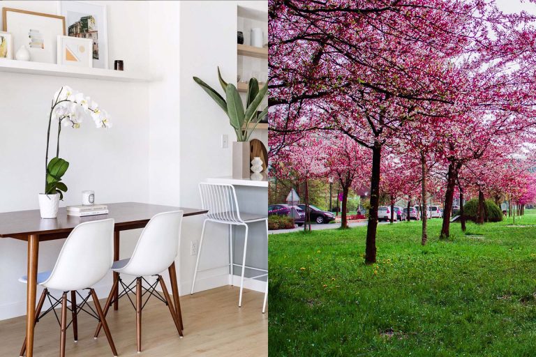 Private Selection - Garrison Collection