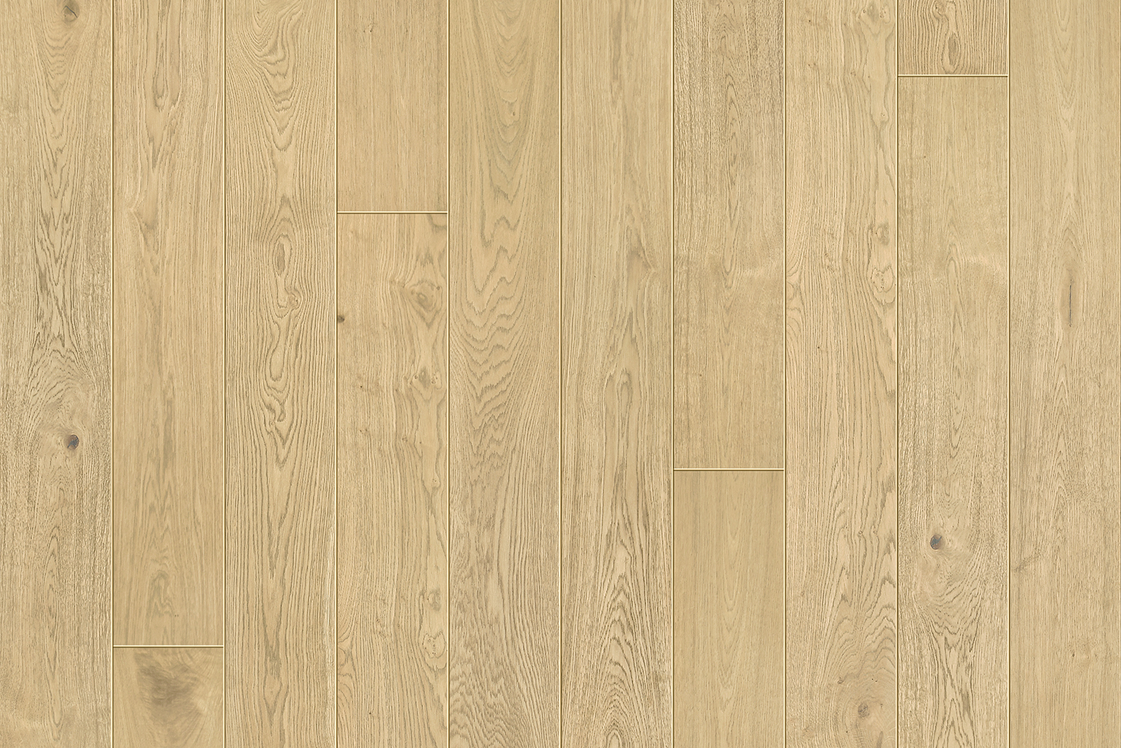 European Oak Warm Sand - Garrison Collection Products