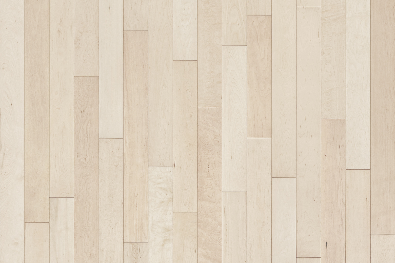 Maple Natural (White) - 3¼” - Garrison Collection Products