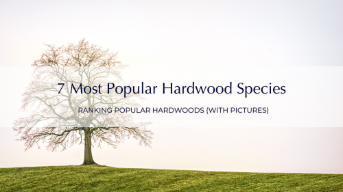 7 Most Popular Hardwood Species With Pictures - Garrison Collection