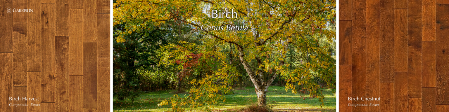 7 Most Popular Hardwood Species With Pictures - Garrison Collection