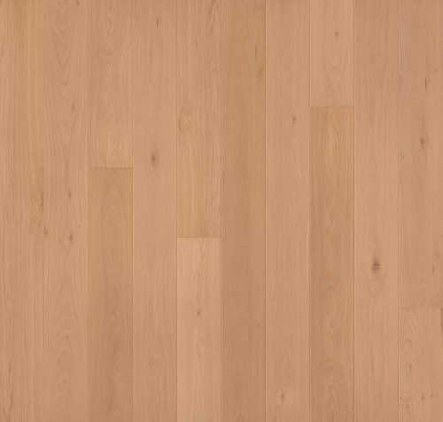 European Oak Sella 9-1/2" - Allora - Garrison Collection Products