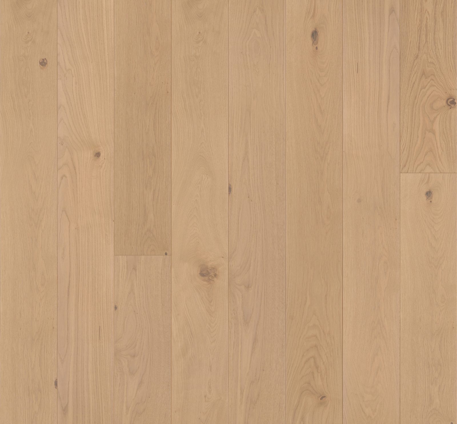 European Oak Luna 9-1/2" - Allora - Garrison Collection Products