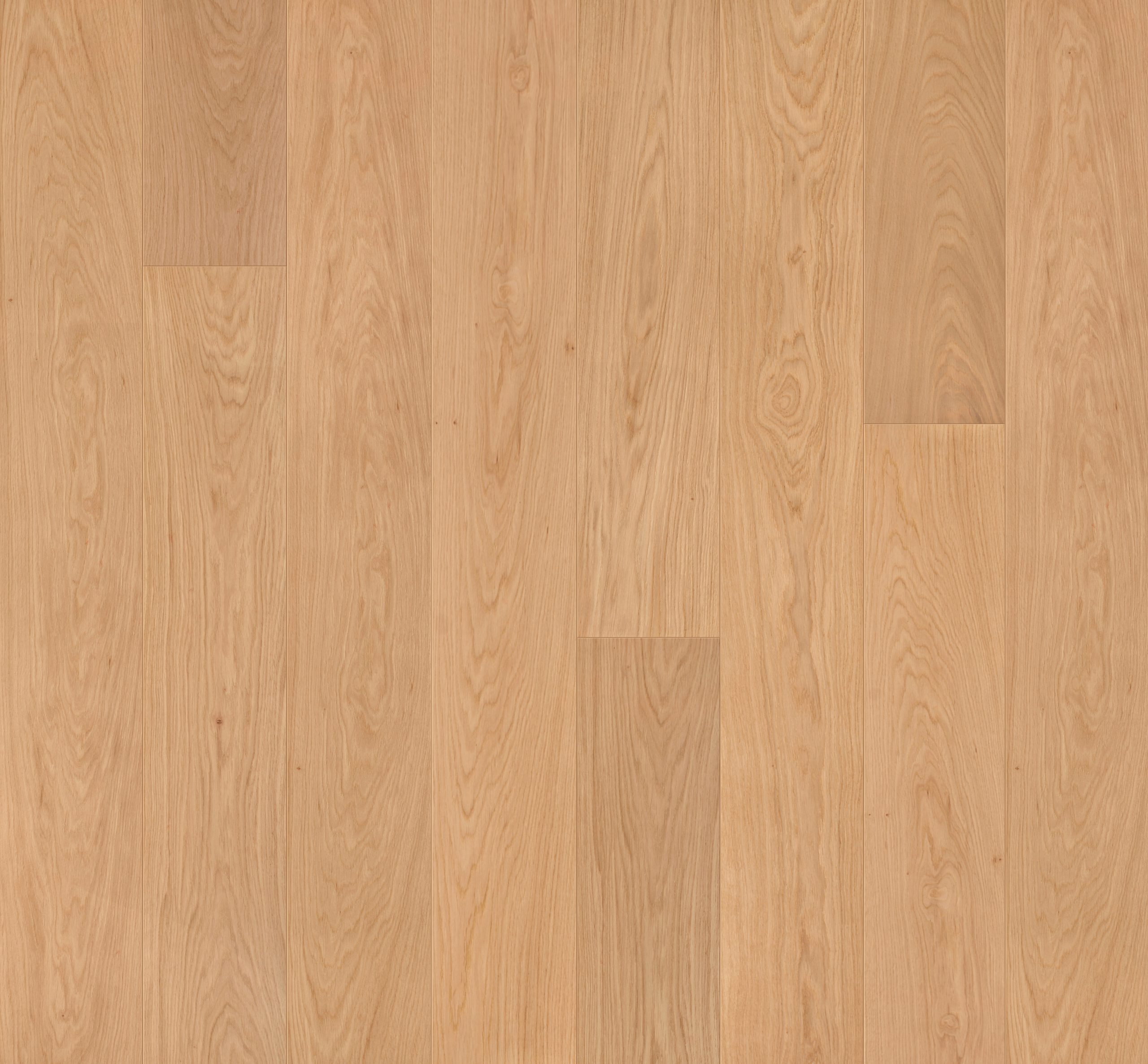 European Oak Sella Select 9-1/2" - Allora - Garrison Collection