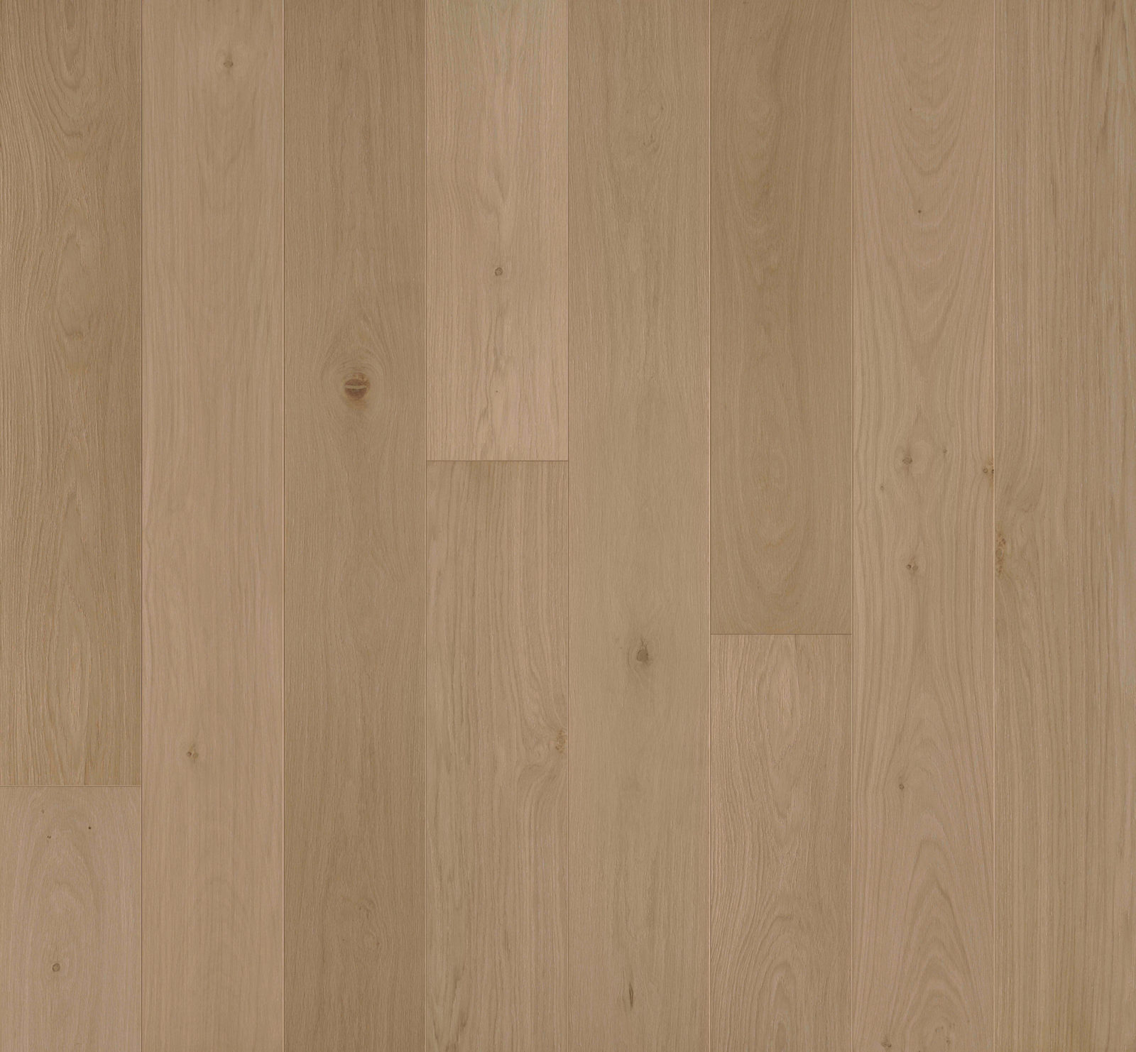 European Oak Sella 9-1/2" - Allora - Garrison Collection Products