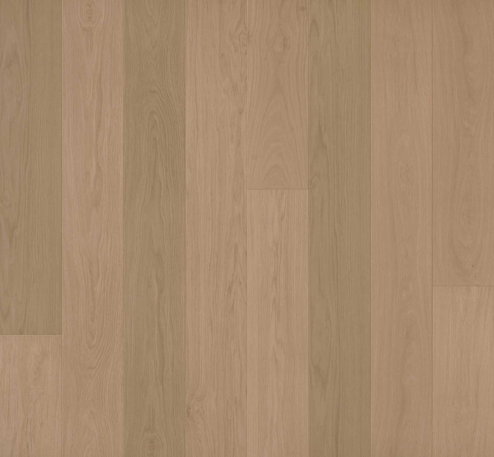 European Oak Sella 9-1/2" - Allora - Garrison Collection Products
