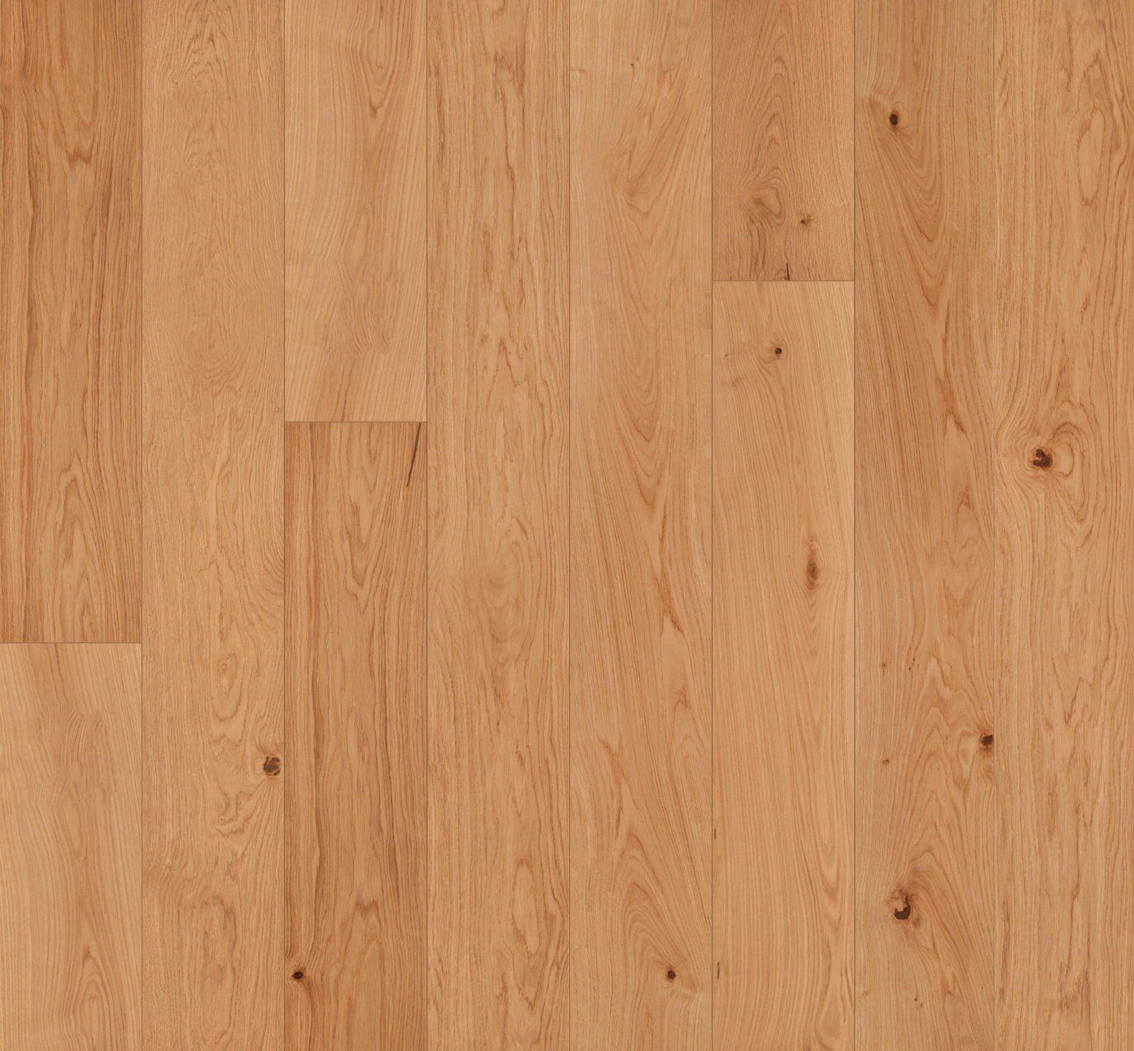 European Oak Sella 9-1/2" - Allora - Garrison Collection Products