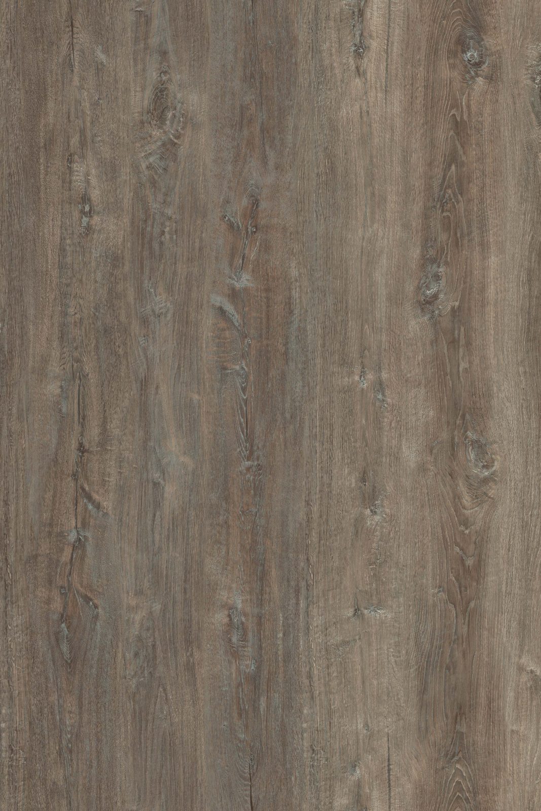 LVT Carr Oak - Garrison Collection Products