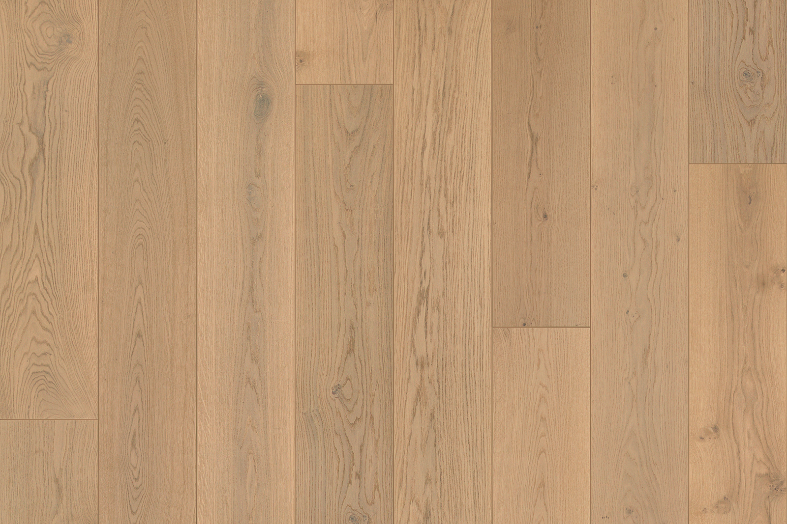 European Oak Canon - Beverly Hills by The Garrison Collection