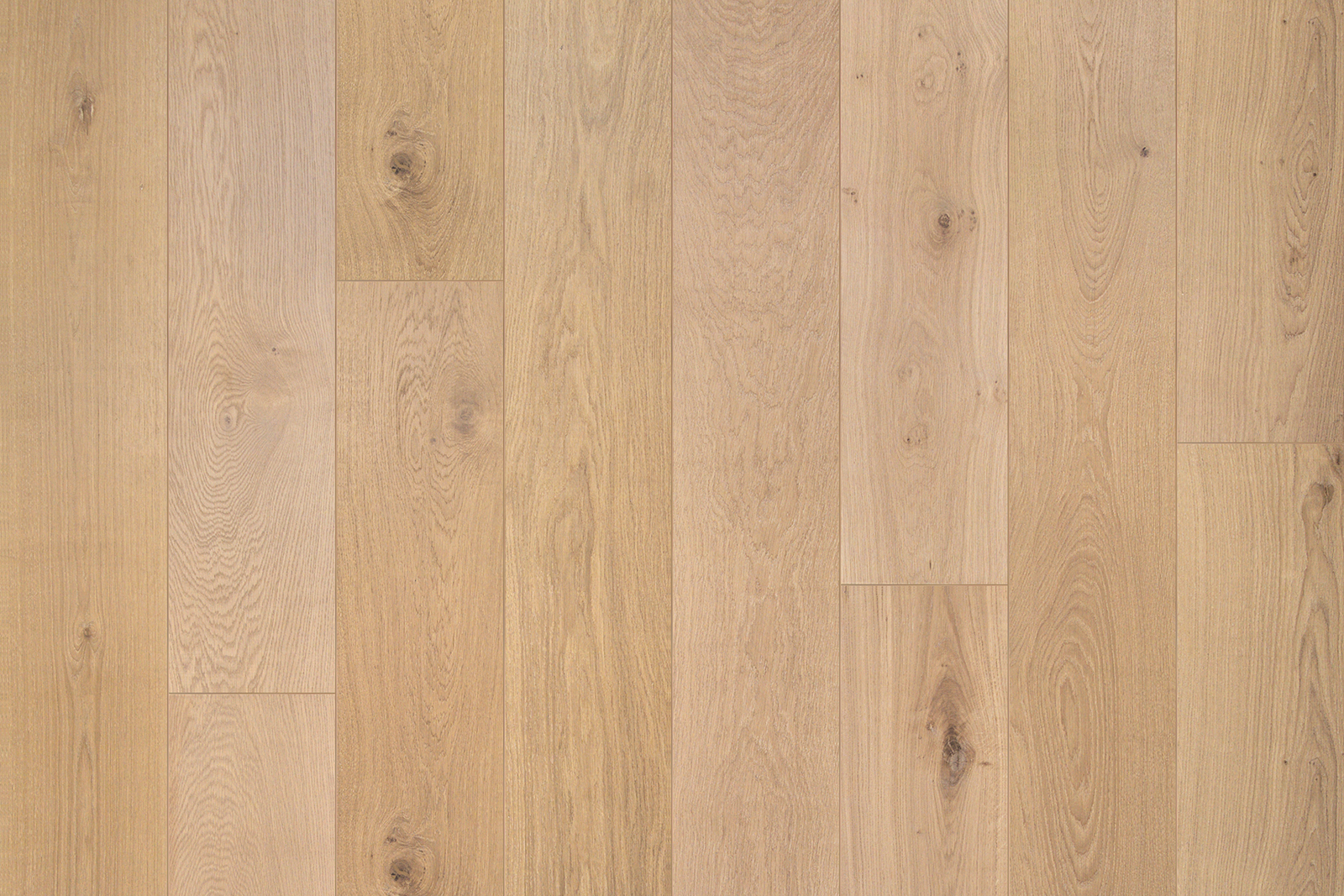 European Oak Canon - Beverly Hills by The Garrison Collection