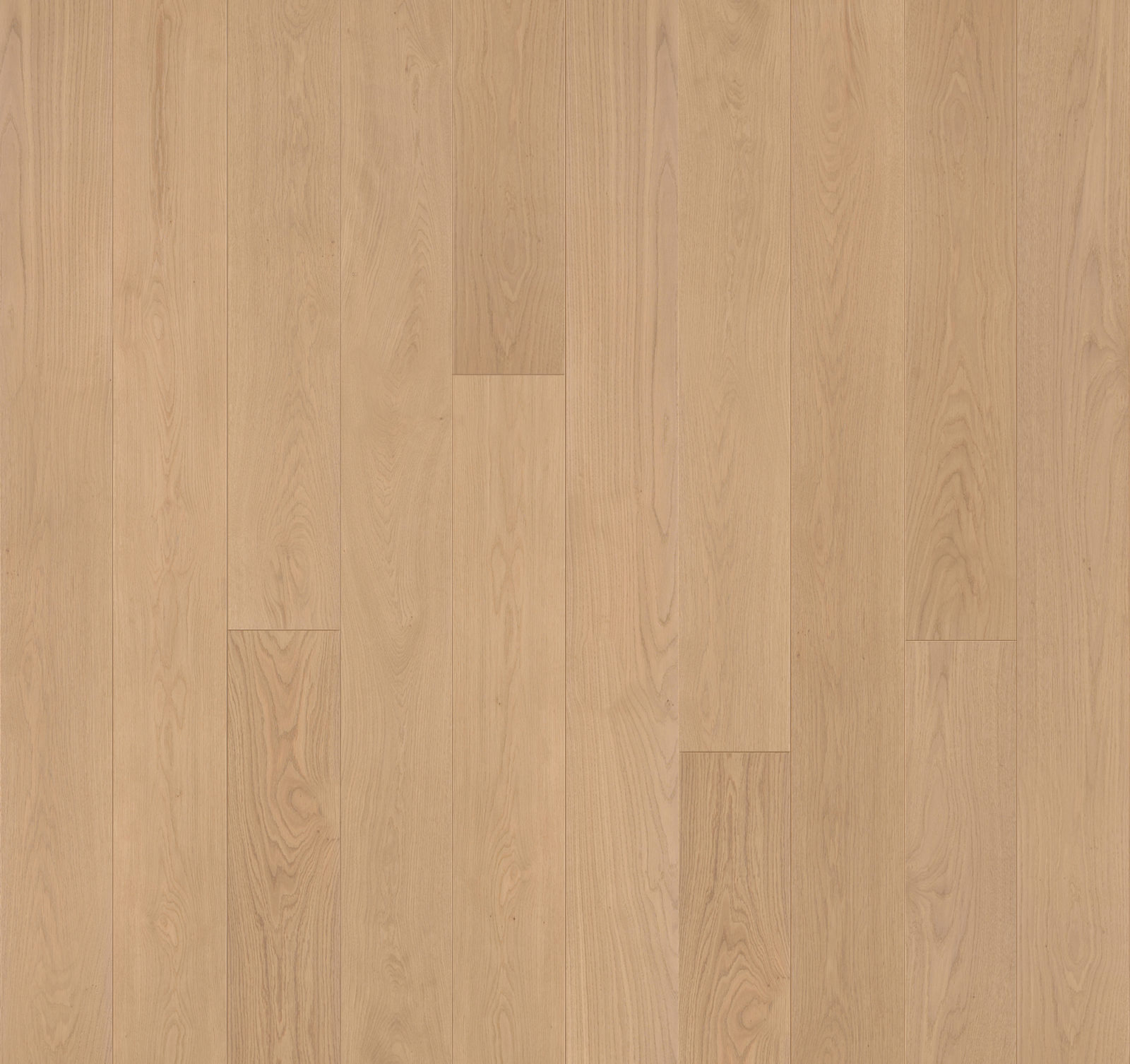 European Oak Sella Select 7-1/2" - Allora - Garrison Collection